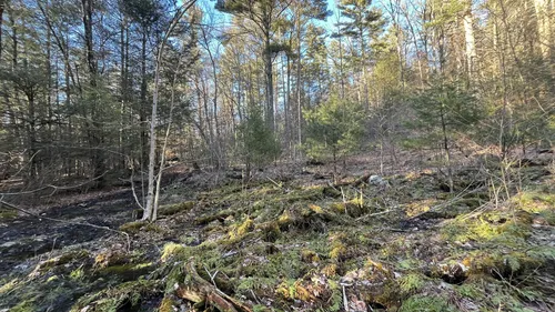 Best Hikes and Trails in Buffam Falls Conservation Area | AllTrails