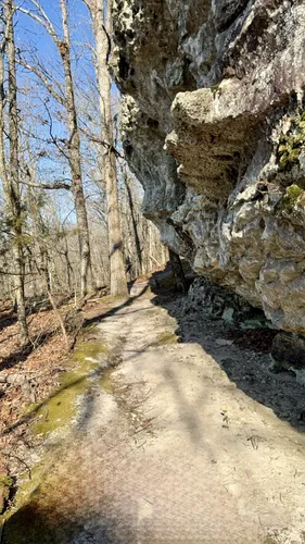 Best Hikes and Trails in Devil's Knob-Devil's Backbone Natural Area | AllTrails