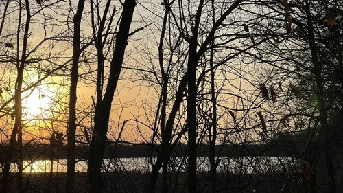 Best Mountain Biking Trails in Fort Custer Recreation Area | AllTrails