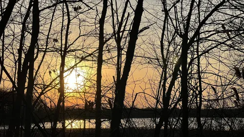 Best Mountain Biking Trails in Fort Custer Recreation Area | AllTrails