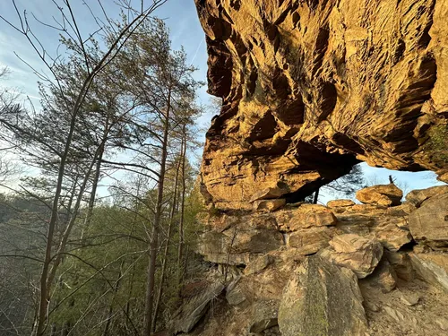 10 Best Forest Trails in Clifty Wilderness | AllTrails