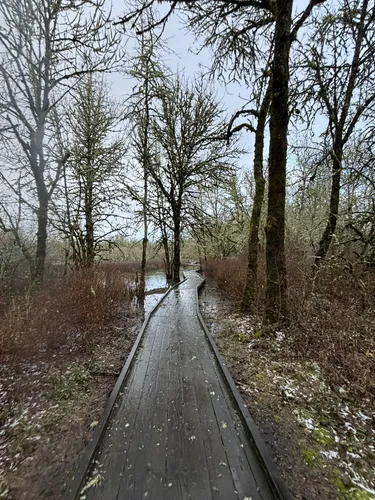 Best Hikes and Trails in Jackson Frazier Wetland | AllTrails