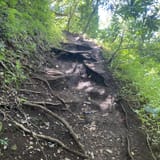 Makiki Valley Loop, Oahu, Hawaii - 5,605 Reviews, Map | AllTrails