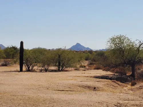 Best Wheelchair Friendly Trails in Reach 11 Recreation Area | AllTrails