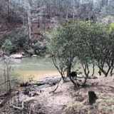 Cartecay River Loop Trail, Georgia - 1,962 Reviews, Map | AllTrails