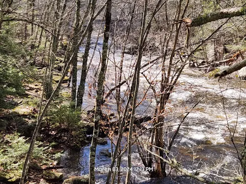 Best Trail Running Trails in Chaplin | AllTrails