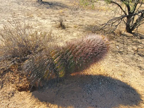 Best Wheelchair Friendly Trails in Reach 11 Recreation Area | AllTrails