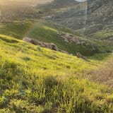 Two Trees Trail, California - 1,355 Reviews, Map | AllTrails