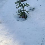 Chuck Keiper Trail: Short Loop, Pennsylvania - 13 Reviews, Map | AllTrails