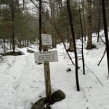 Mount Madison via Valley Way Trail, New Hampshire - 1,213 Reviews, Map ...