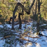 Chuck Keiper Trail: Short Loop, Pennsylvania - 13 Reviews, Map | AllTrails