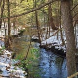 Chuck Keiper Trail: Short Loop, Pennsylvania - 13 Reviews, Map | AllTrails