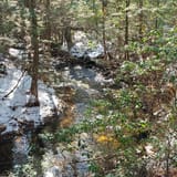 Chuck Keiper Trail: Short Loop, Pennsylvania - 13 Reviews, Map | AllTrails