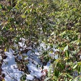 Chuck Keiper Trail: Short Loop, Pennsylvania - 13 Reviews, Map | AllTrails