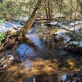 Chuck Keiper Trail: Short Loop, Pennsylvania - 13 Reviews, Map | AllTrails