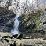 Jones Run Falls Trail, Virginia - 831 Reviews, Map | AllTrails