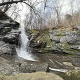 Jones Run Falls Trail, Virginia - 831 Reviews, Map | AllTrails