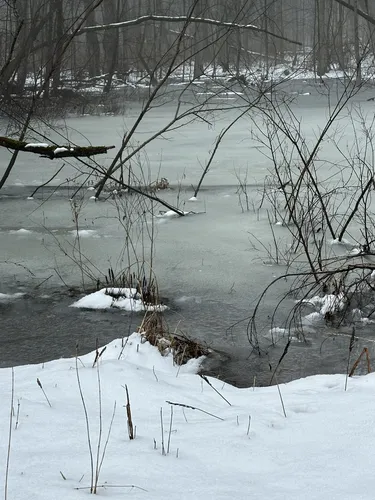 Best Hikes and Trails in Three Rivers Wildlife Management Area | AllTrails