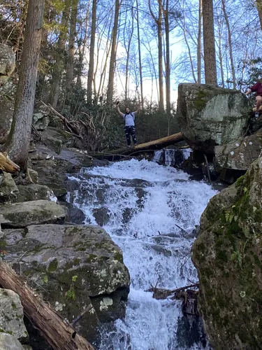 Best Waterfall Trails in Pine Grove | AllTrails