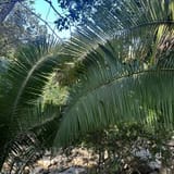 Palo Maria Waterfall, Jalisco, Mexico - 455 Reviews, Map | AllTrails