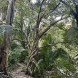 Palo Maria Waterfall, Jalisco, Mexico - 455 Reviews, Map | AllTrails