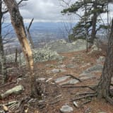 Kennedy Peak Loop, Virginia - 571 Reviews, Map | AllTrails