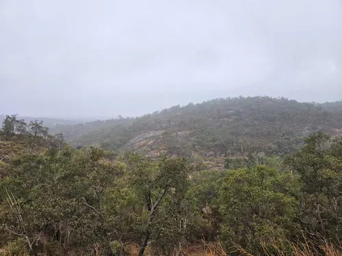 Best Hikes and Trails in Swan View | AllTrails