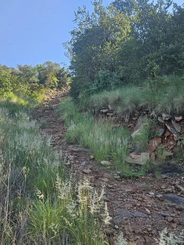 Best River Trails in Mogale City NU | AllTrails