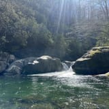 Mouse Creek Falls via Big Creek Trail, Tennessee - 2,629 Reviews, Map ...