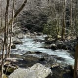 Mouse Creek Falls via Big Creek Trail, Tennessee - 2,629 Reviews, Map ...