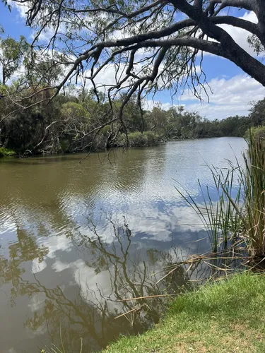 Best Trail Running Trails in Canning River Regional Park | AllTrails