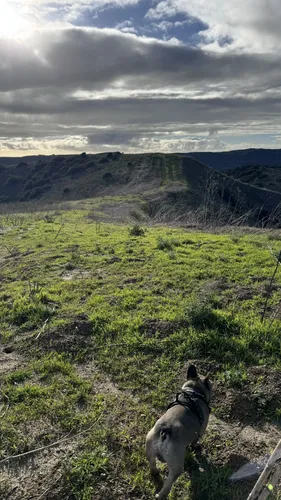 Best Hikes and Trails in Camp Pendleton | AllTrails