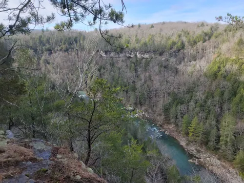 Best Hikes and Trails in Obed Wild and Scenic River | AllTrails