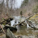Moormans River and Appalachian Trail Loop, Virginia - 230 Reviews, Map ...