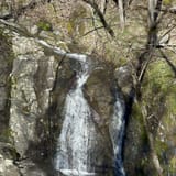 Jones Run Falls Trail, Virginia - 828 Reviews, Map | AllTrails