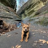 French Canyon Trail, Illinois - 650 Reviews, Map | AllTrails