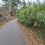 Lake Conestee Nature Park Loop, South Carolina - 1,322 Reviews, Map ...