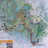 Lake Conestee Nature Park Loop, South Carolina - 1,322 Reviews, Map ...