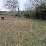 Lake Conestee Nature Park Loop, South Carolina - 1,322 Reviews, Map ...