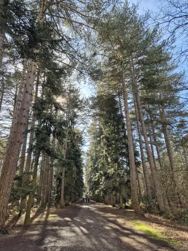 Best Forest Trails in Langley Country Park | AllTrails