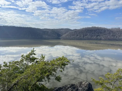 Best Hikes and Trails in Chestnut Grove Natural Area | AllTrails