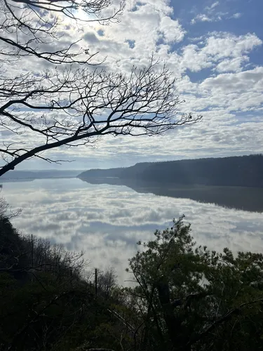 Best Hikes and Trails in Chestnut Grove Natural Area | AllTrails