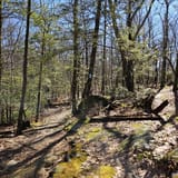 Case Mountain Trail, Connecticut - 1,058 Reviews, Map | AllTrails