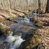Case Mountain Trail, Connecticut - 1,028 Reviews, Map | AllTrails