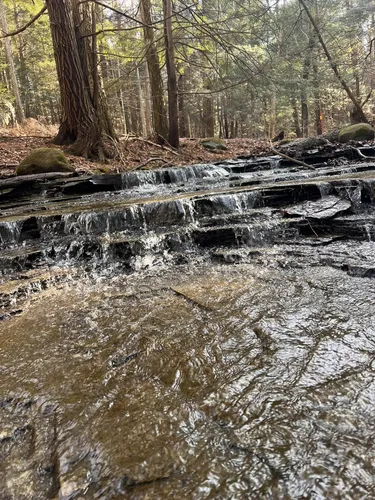 Best Hikes and Trails in Boston Forest County Park | AllTrails