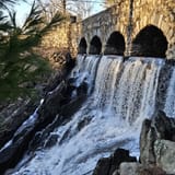 Case Mountain Trail, Connecticut - 1,028 Reviews, Map | AllTrails