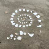 Limantour Beach Trail, California - 361 Reviews, Map | AllTrails