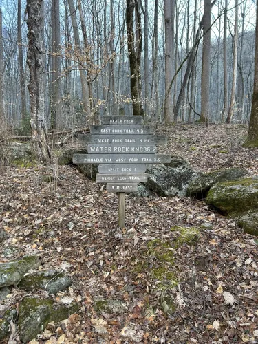 Best Waterfall Trails in Sylva | AllTrails