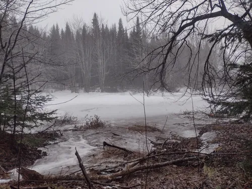 Best Hikes and Trails in University of New Brunswick Woodlot | AllTrails