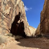Capitol Gorge to Tanks Trail, Utah - 1,334 Reviews, Map | AllTrails
